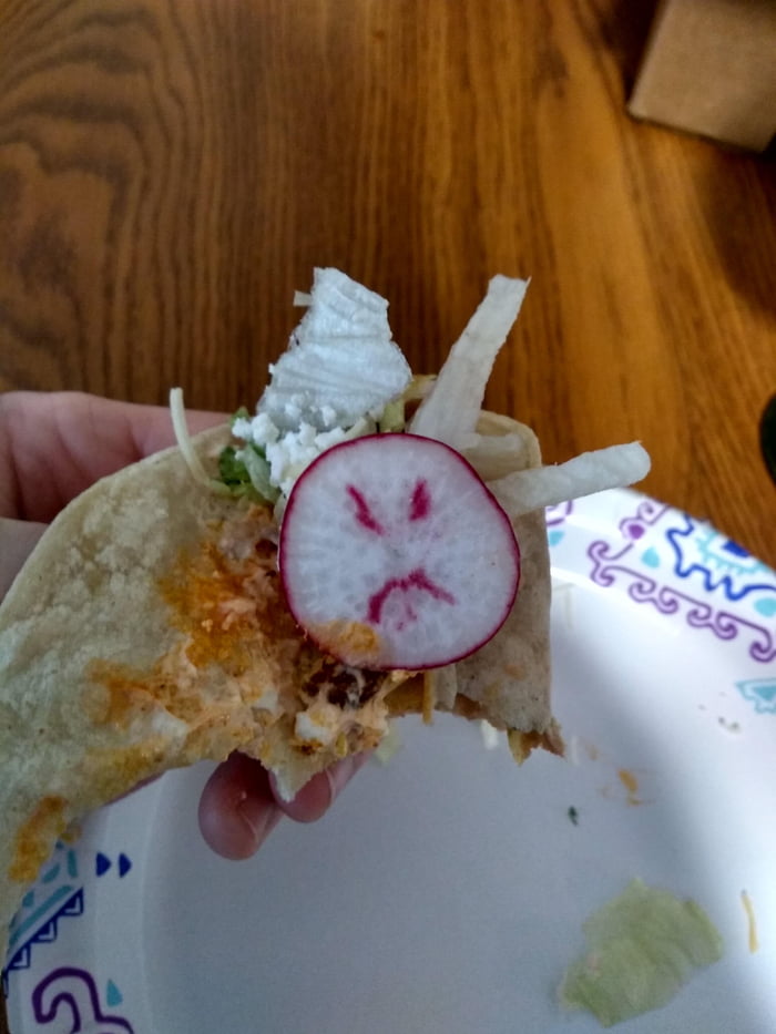 Radish is not happy with this arrangement... - 9GAG
