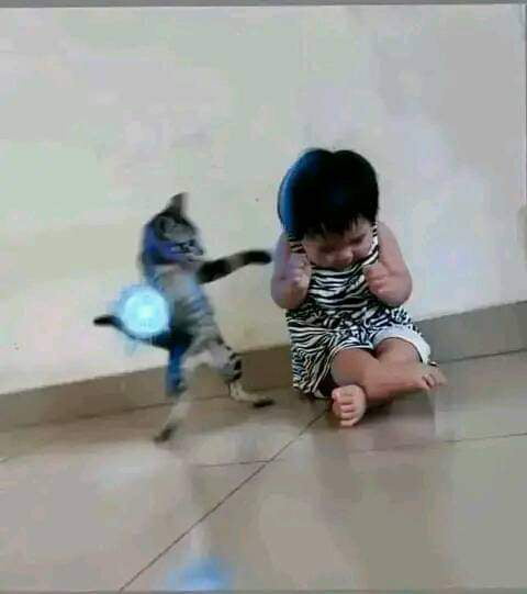 This usually happen to the first child of cat owners - 9GAG