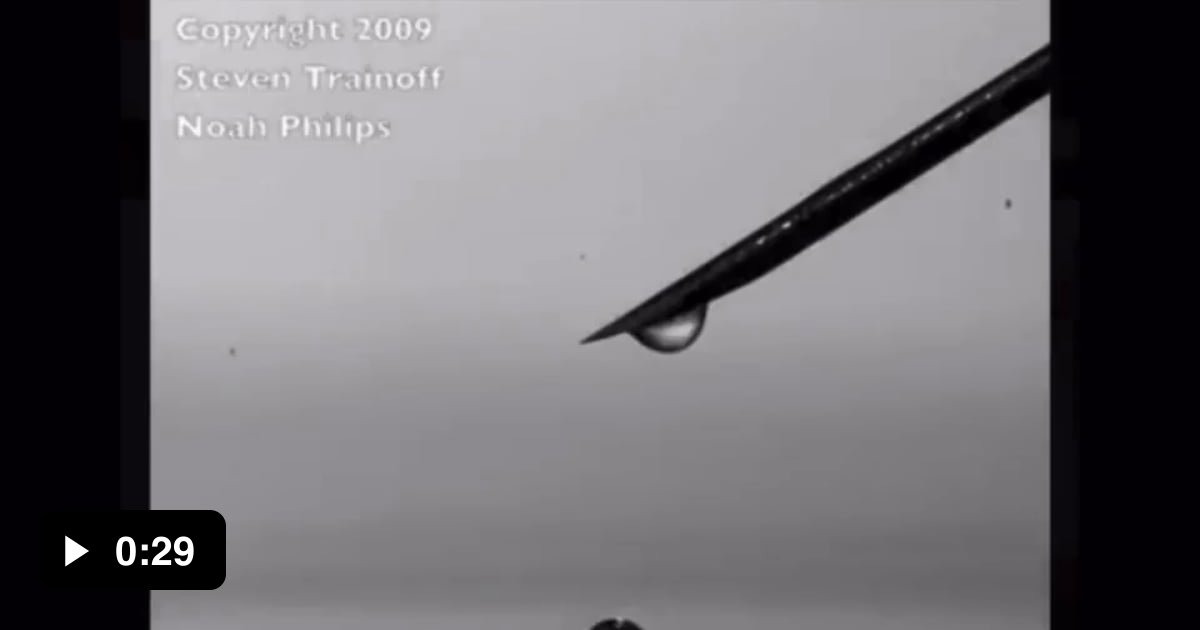 This is a coalescence cascade. When droplets of water contact the surface of water, it gradually ...