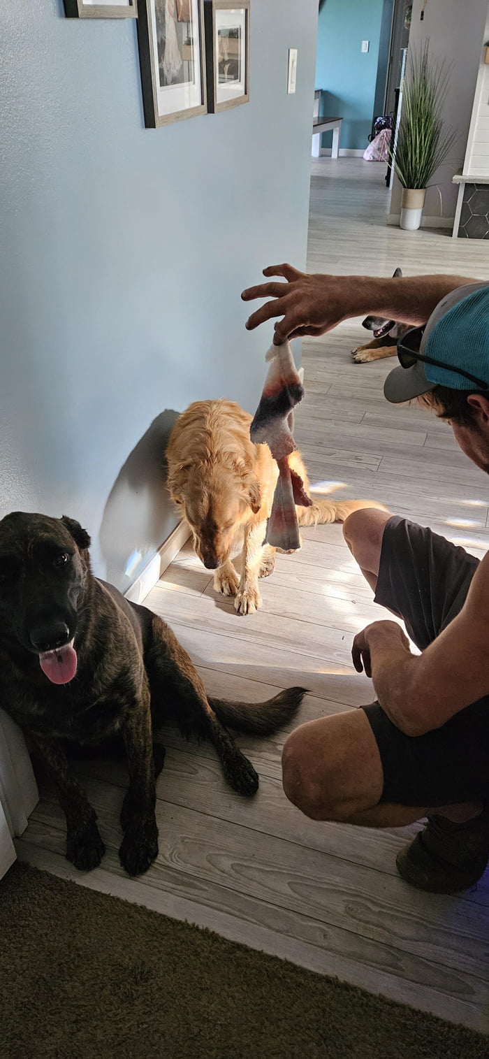 Guilt makes the truth much easier to establish - 9GAG