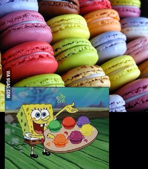 French Macarons = Real Life Pretty Patties - 9GAG