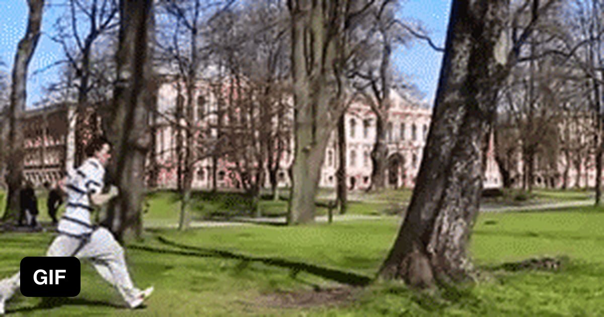 How to properly run up a tree and preform a successful backflip. - 9GAG