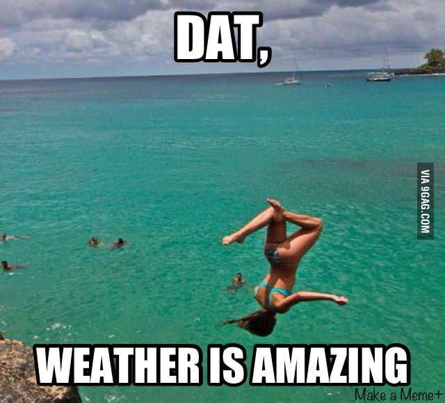 Dat ass.... Wait what?! - 9GAG