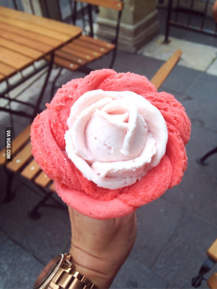 Ice Cream Rose - 9GAG
