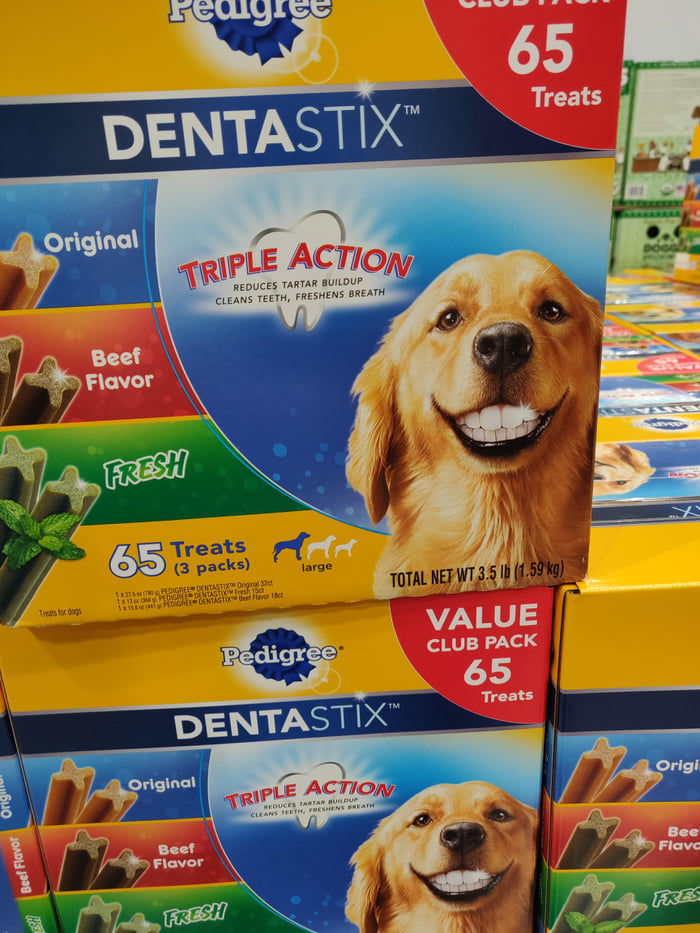Doggo has hooman teeth - 9GAG