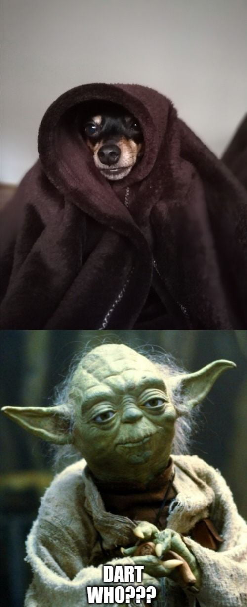 "Why, Master Yoda, what a delightful surprise!" - 9GAG