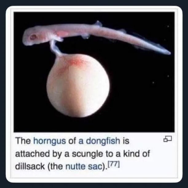 First, they take the dinglepop and they smooth it out with a bunch of ...