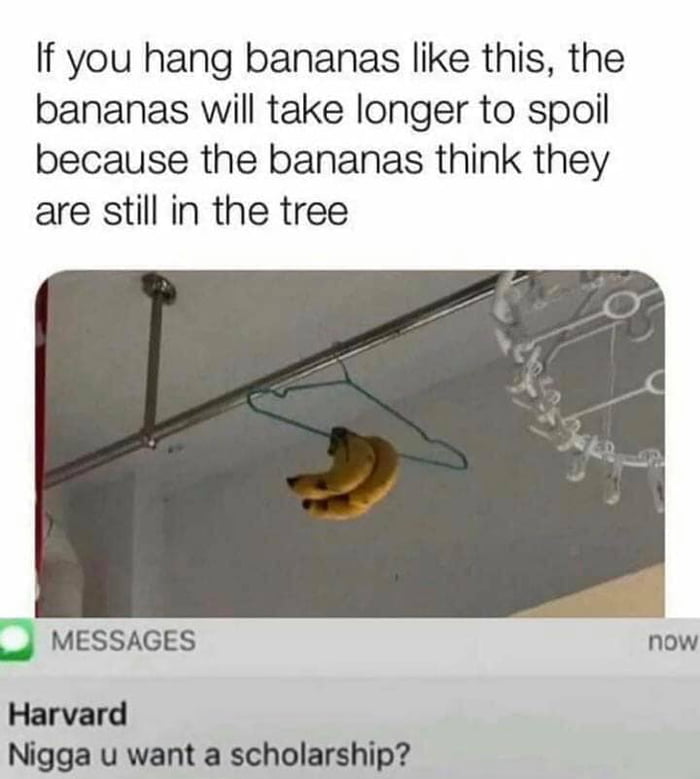 Damn meme owner... thinking he's more intelligent than the banana... - 9GAG