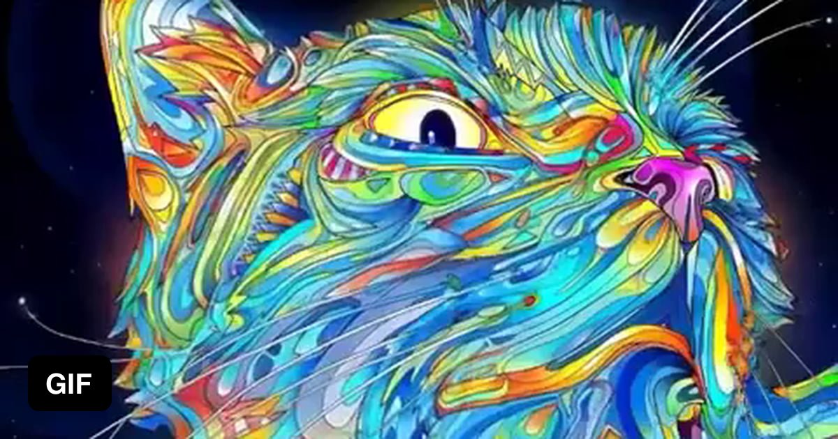 Psychedelic Cat - 9GAG