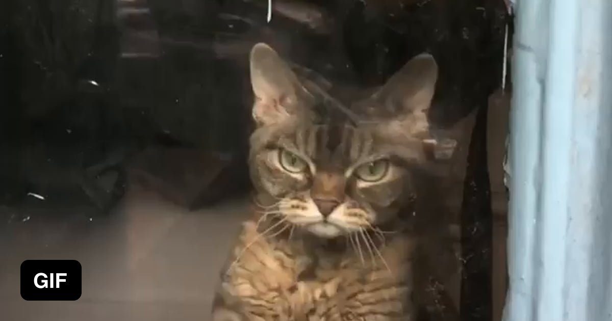 Grumpy Barbara - 9GAG