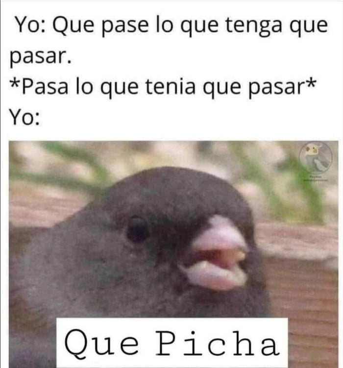 Que picha vivir xD - 9GAG