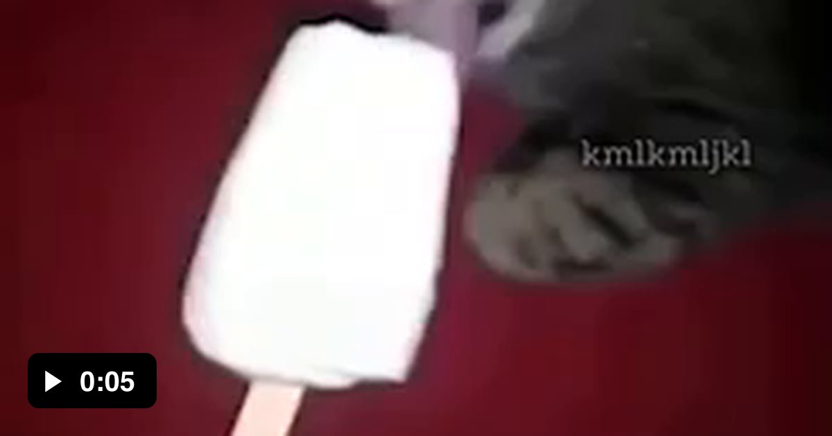 Ever seen a cat blue-screen? - 9GAG