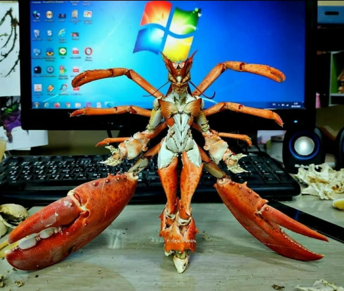 Lady Crab - 9GAG