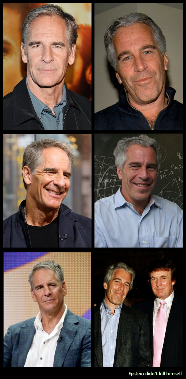 Scott Bakula should play Jeffrey Epstein in the inevitable movie - 9GAG