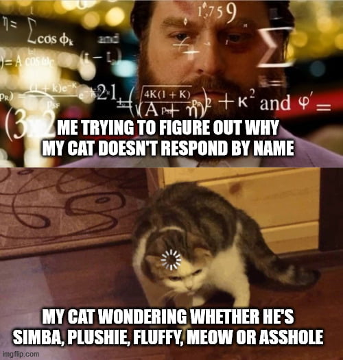 Or maybe kitty-kitty? - 9GAG