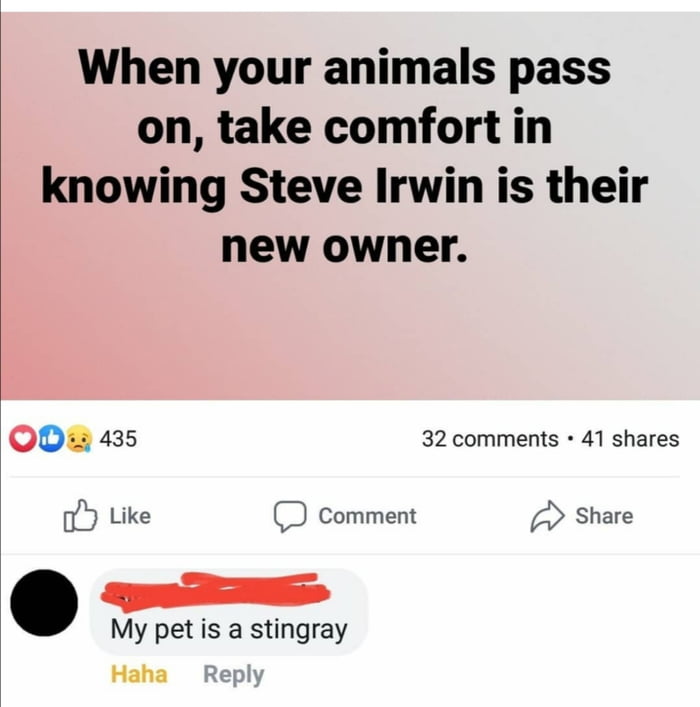 Blursed Pet - 9GAG