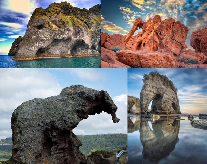 There are many rocks in the world that look like animals, here are 4 of ...