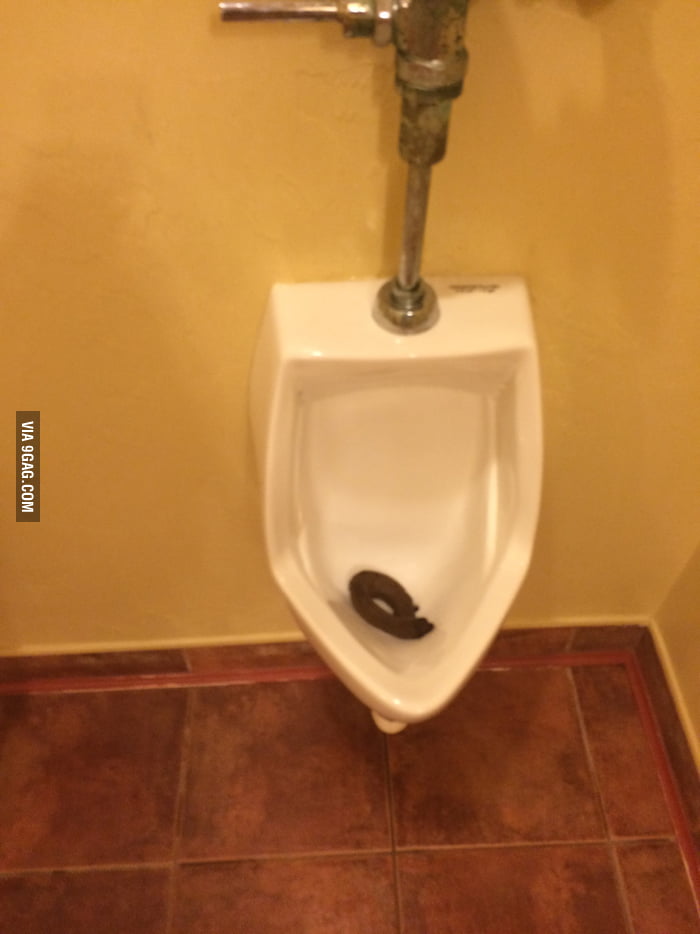 SERIOUSLY WTF! WHO POOPS IN THE URINAL - 9GAG