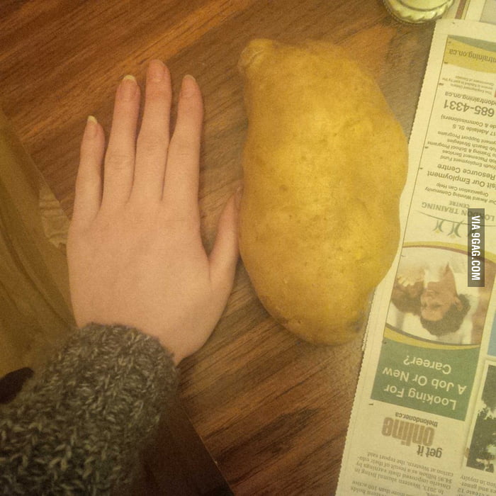 Peeling potatoes when suddenly .... - 9GAG