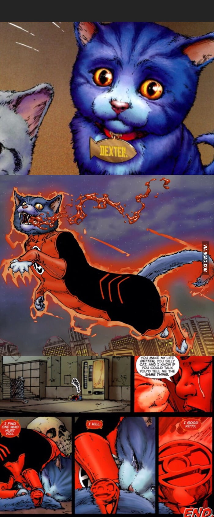 You like cats and superheroes? meet Dex-Starr, a cat with the power of ...