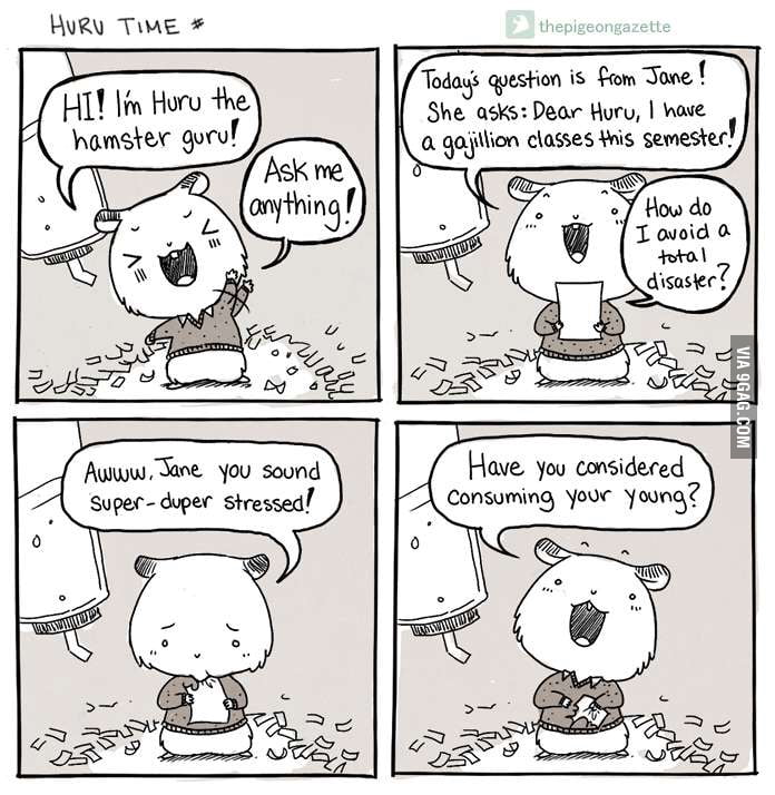 Friendly advice hamster - 9GAG