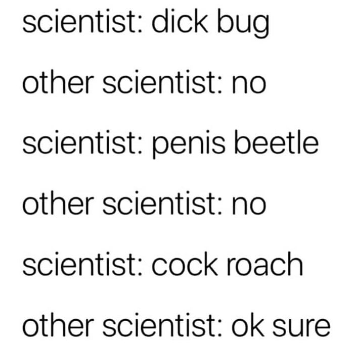 Dick Bug - 9GAG