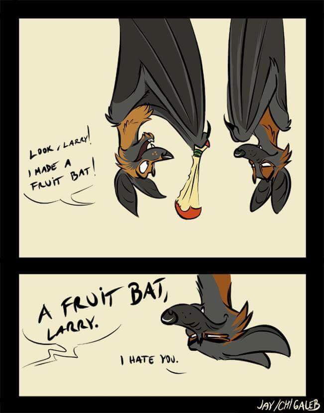 A Fruit Bat Larry! - 9GAG