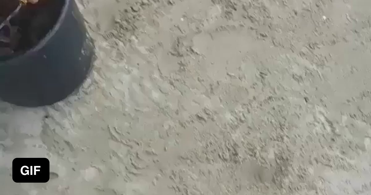 154 baby turtles being released on Gibraltar Beach in Jamaica - 9GAG