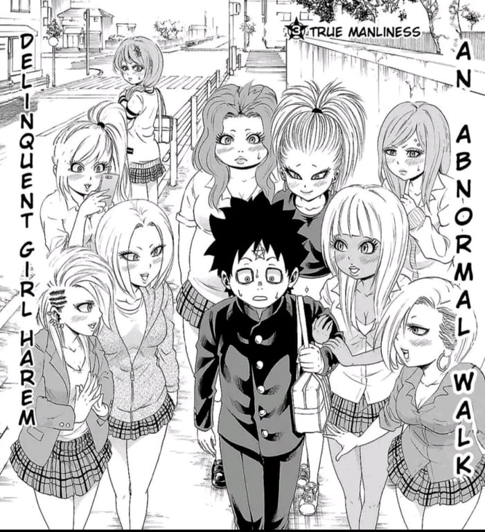 Delinquent harem - 9GAG
