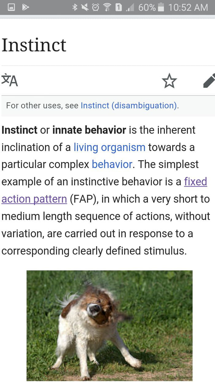 So this is why it's called fapping lolol - 9GAG