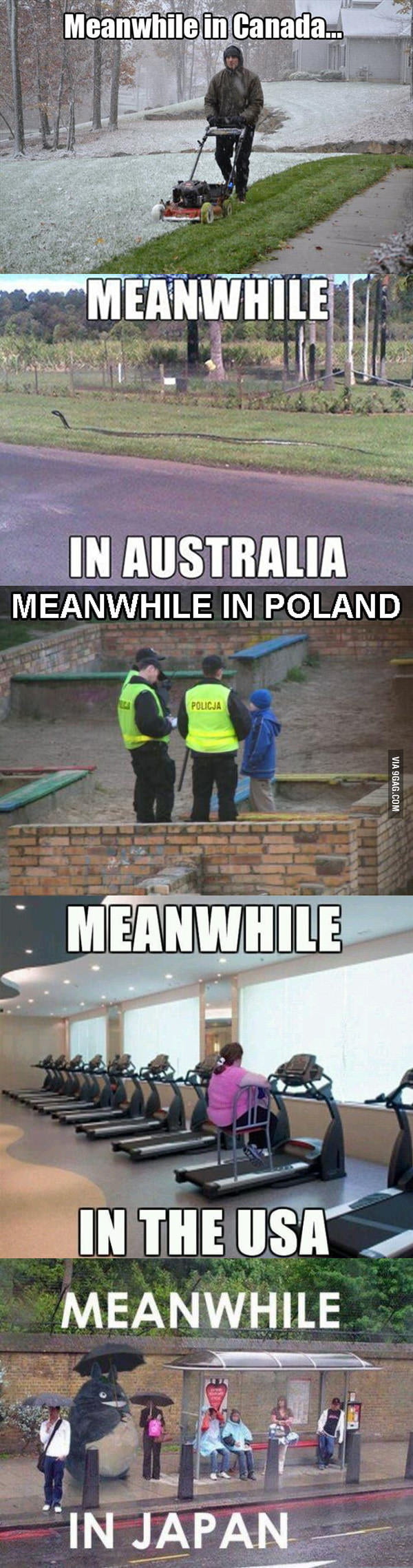 Meanwhile... - 9GAG