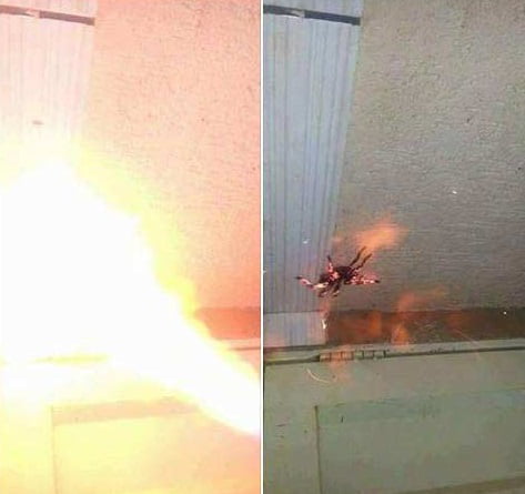 When you use fire to kill a spider but it has +50 fire defense - 9GAG
