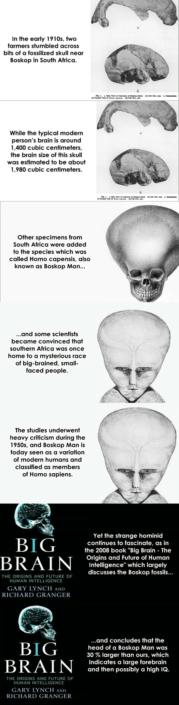 Cool scientific facts Part 1: BOSKOP MAN - 9GAG
