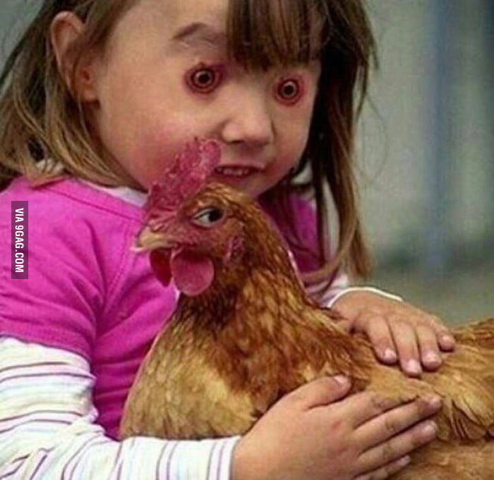 Why does it look like the chicken is suspicious - 9GAG