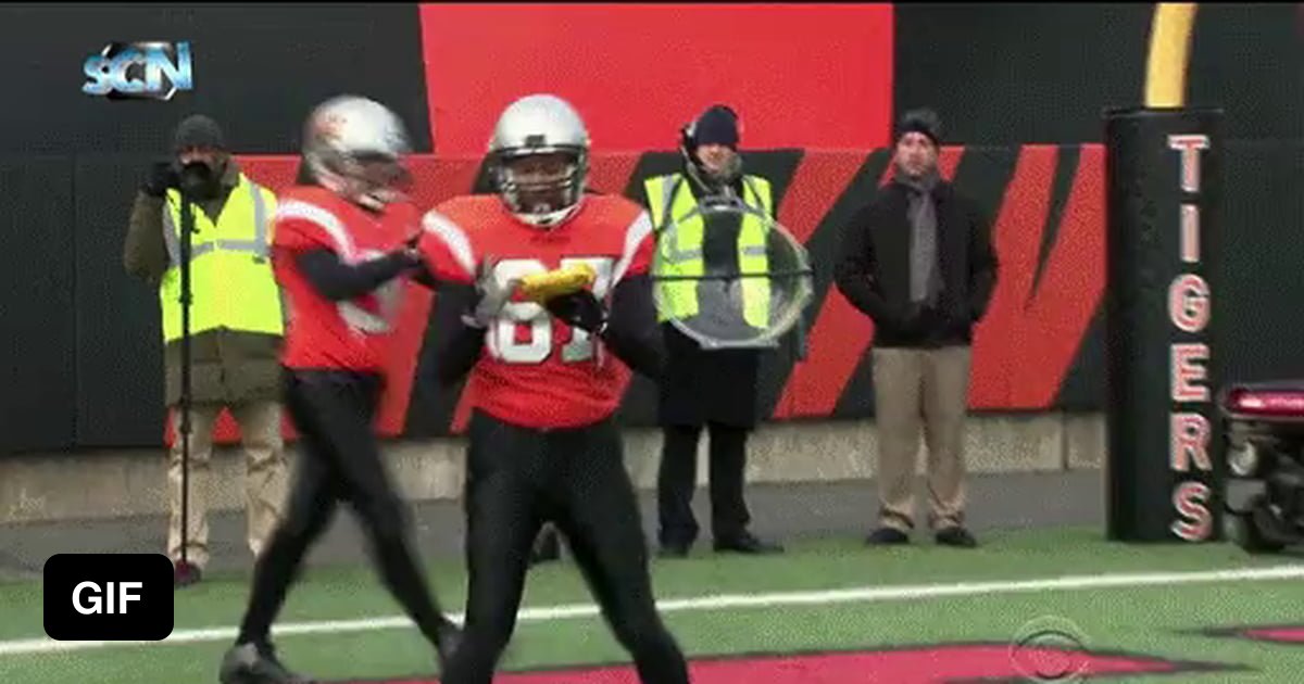 Hingle McCringleberry is back with his excessive celebrations! Oh how I ...