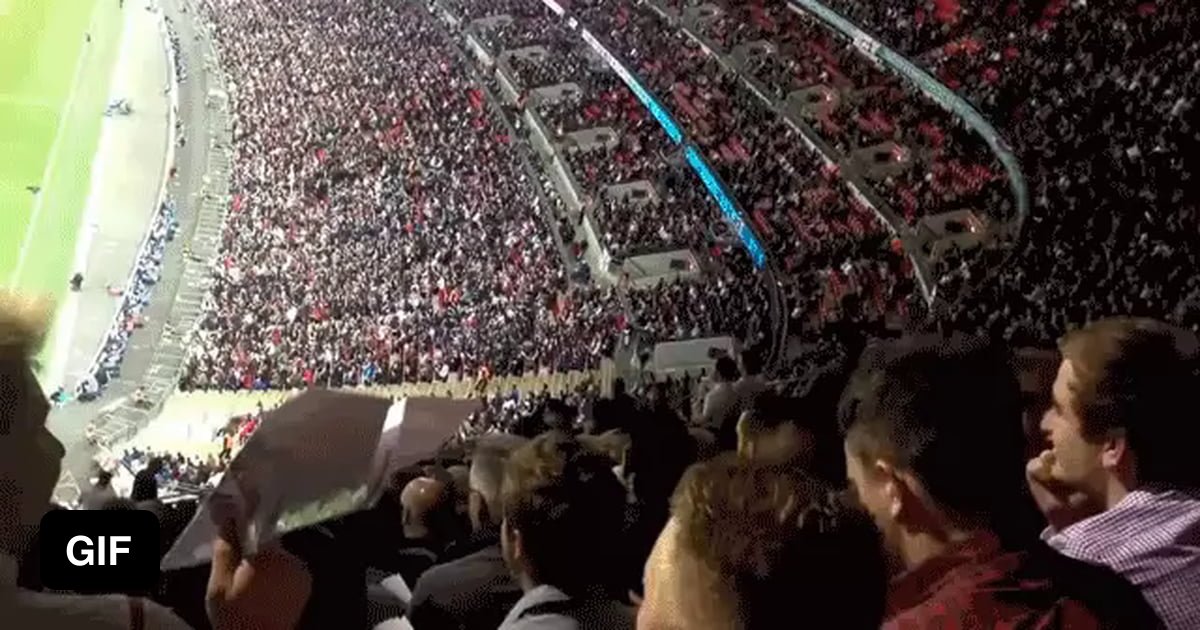 Weeeeeeeeeeeeeeeeeee! - 9GAG