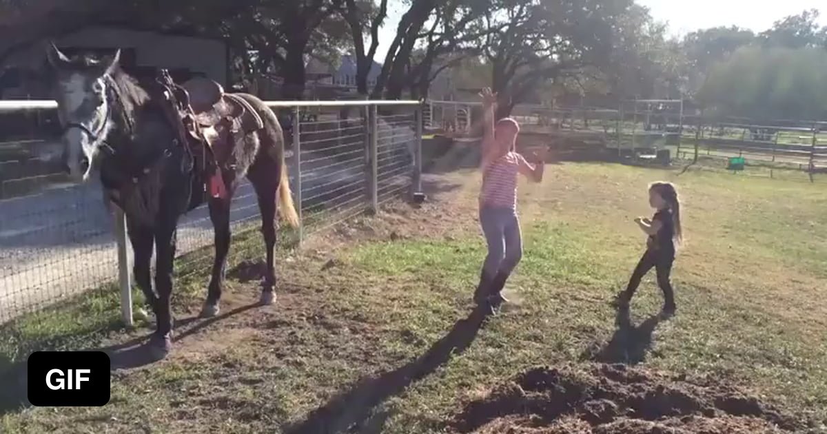 Watch me whip, watch me neigh neigh - 9GAG