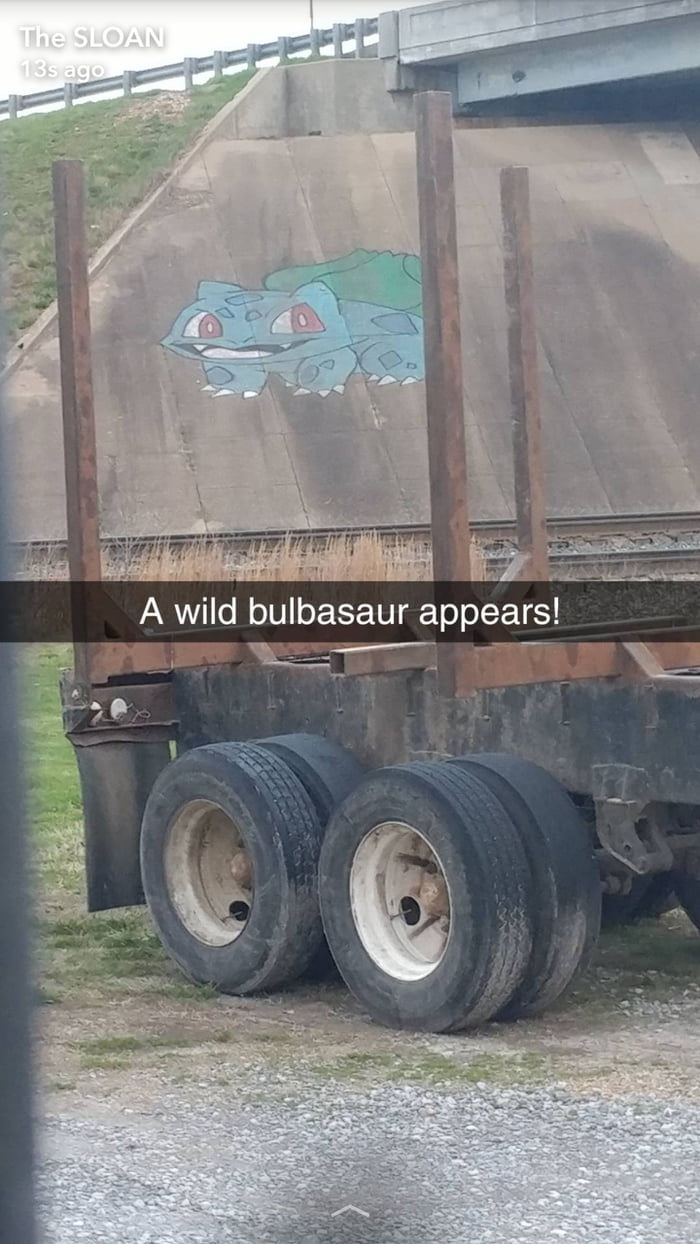 Bulbasaur is confused. - 9GAG