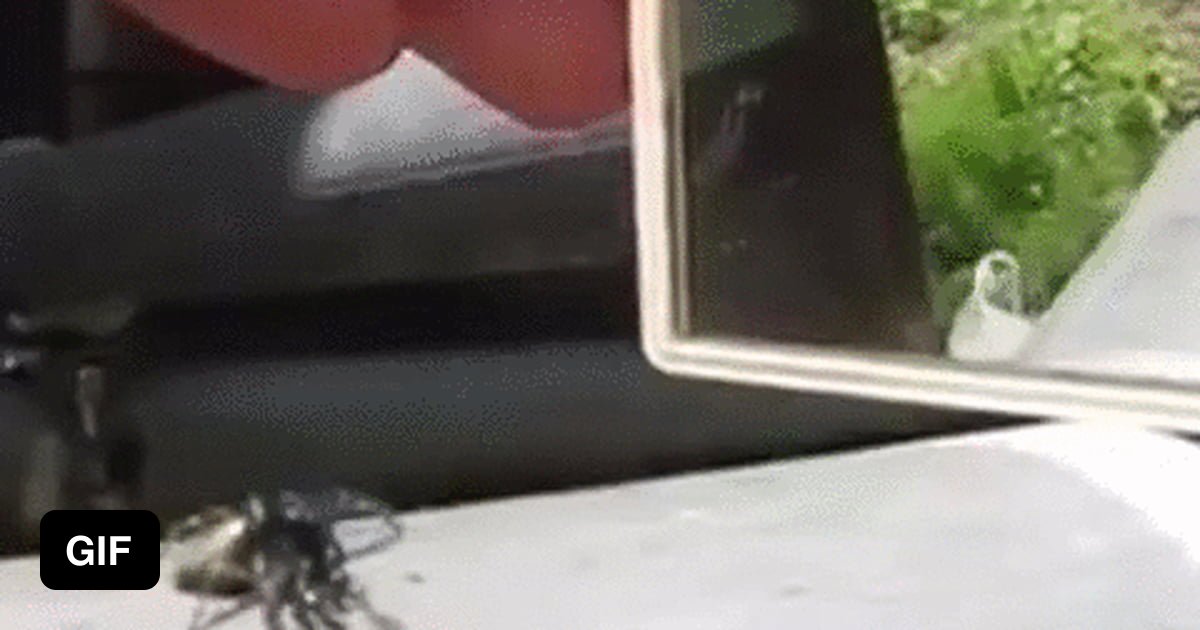 Trying to ubderstand the reflection - 9GAG