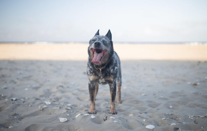 Smiley beach boye. - 9GAG