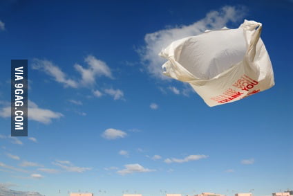 Do you ever feel like a plastic bag drifting through the wind? - 9GAG