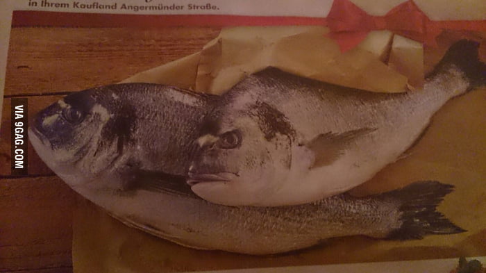 Grumpy-fish in a german commercial - 9GAG