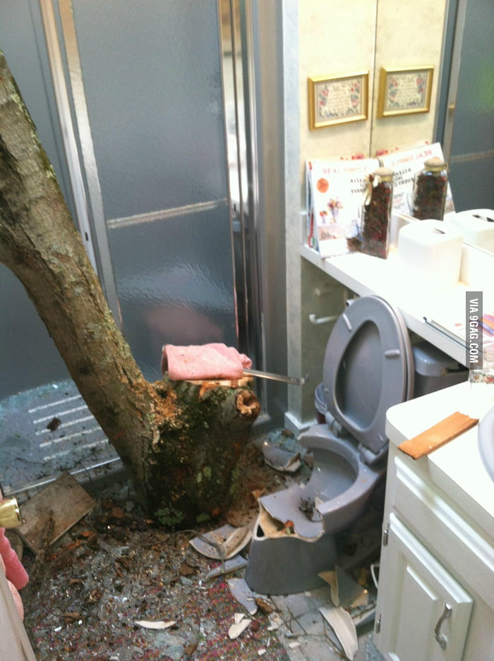 Dropping a log - 9GAG