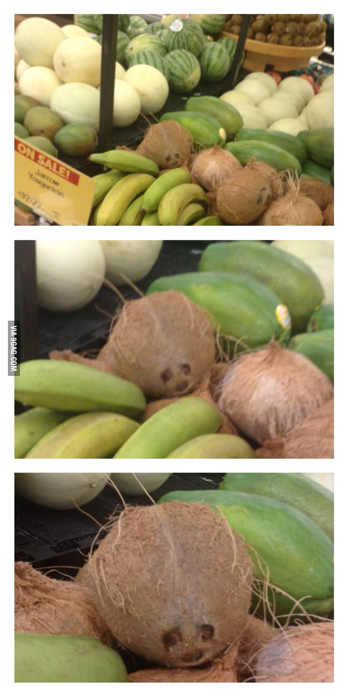The saddest coconut - 9GAG