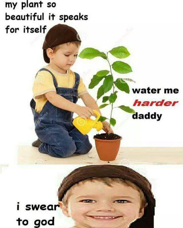 Water me h a r d e r daddy - 9GAG