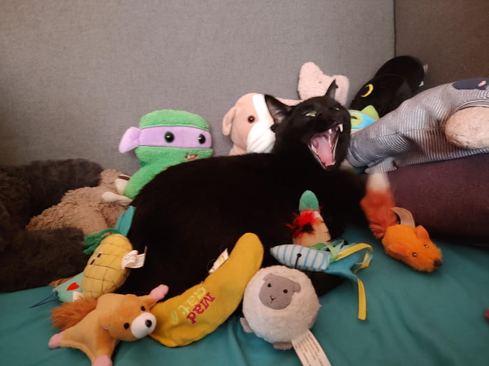 Screaming into the void - 9GAG