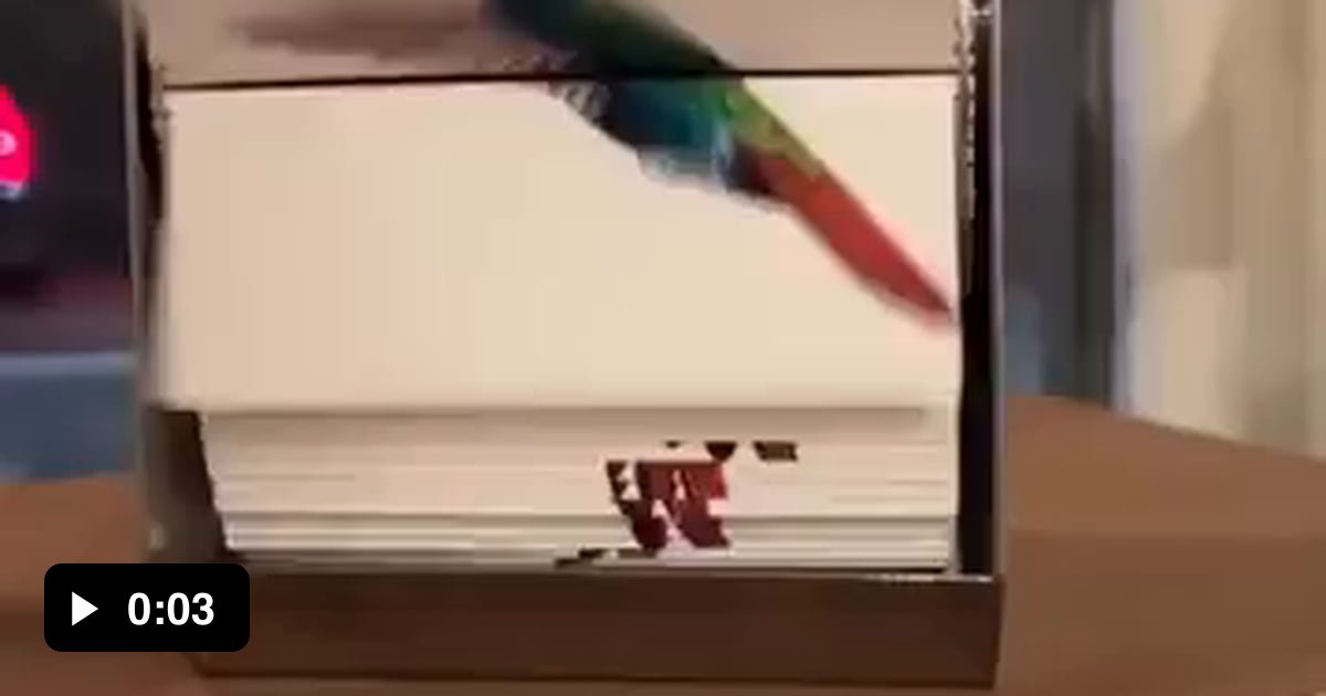 Hummingbird flip book - 9GAG