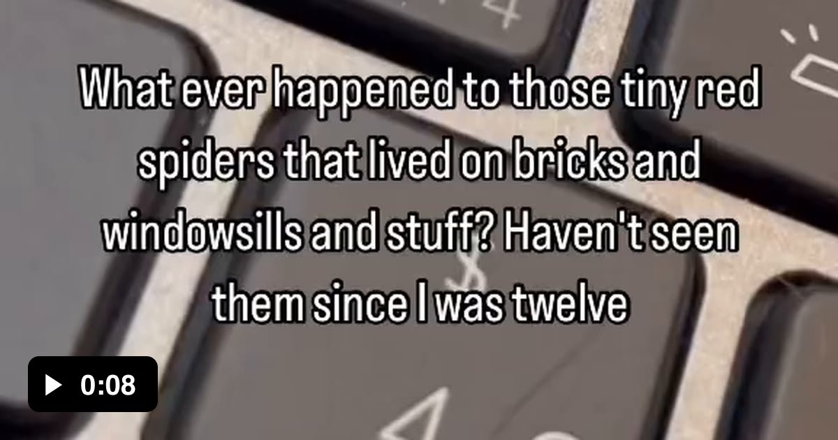 Mystery of the missing mini spiders - 9GAG