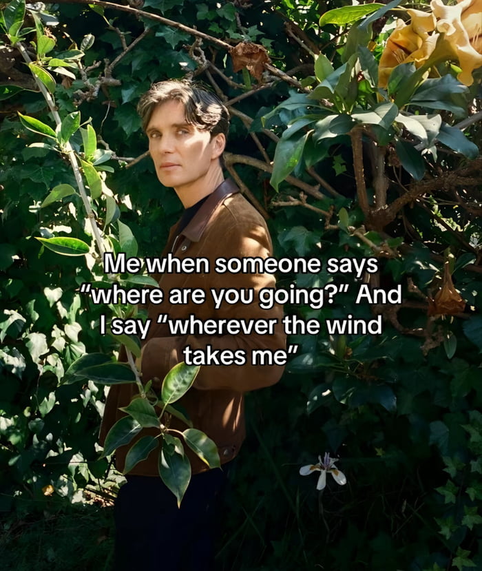 When life turns into a nature documentary 🌿 - 9GAG