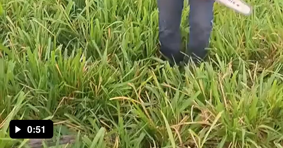 Keep it steady - 9GAG